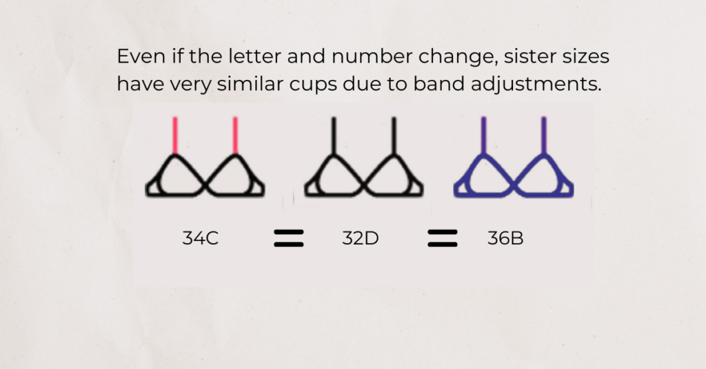 Bra Sisters Explained - Front Room Underfashions